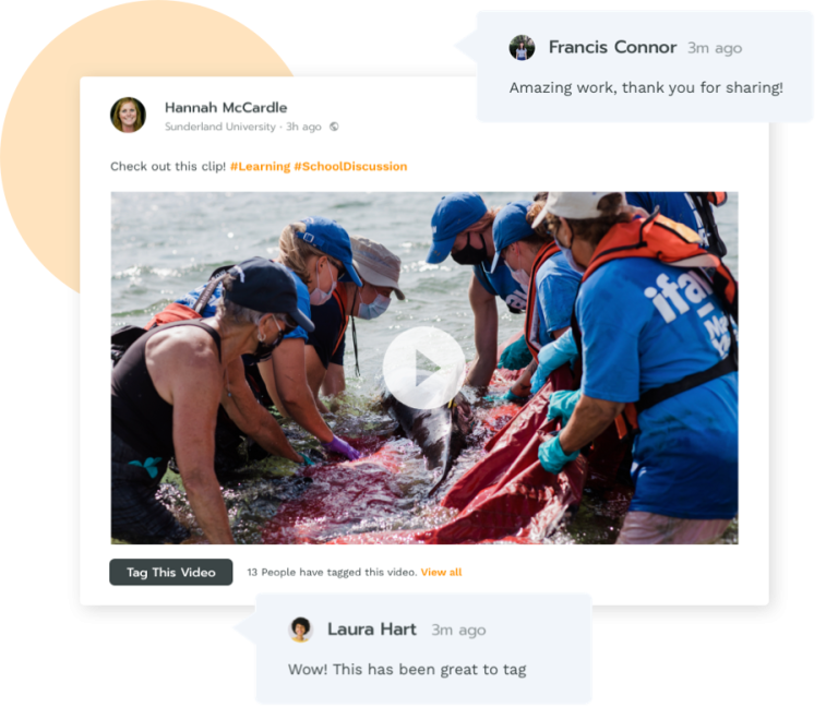 The All-New VEO App is Here!